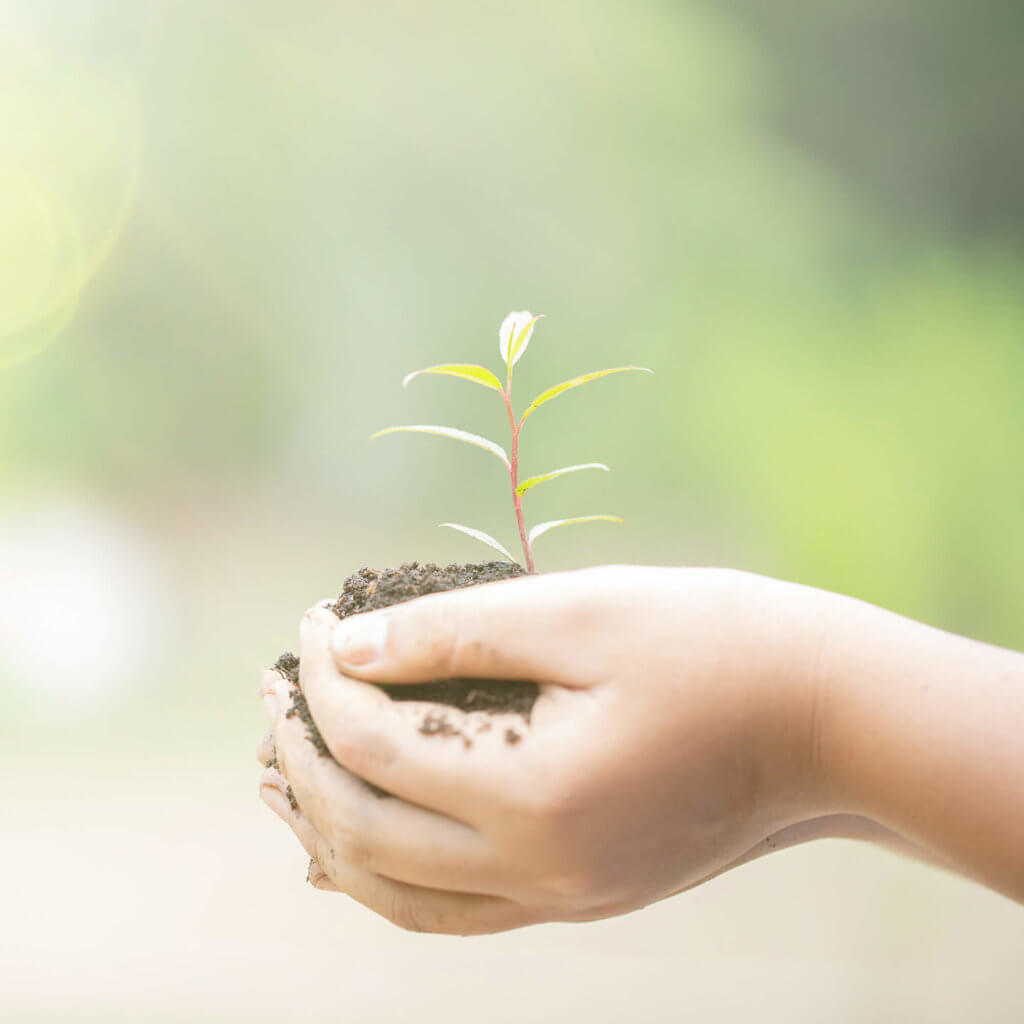 7 tendances bio et éco-responsable pour une transition écolo