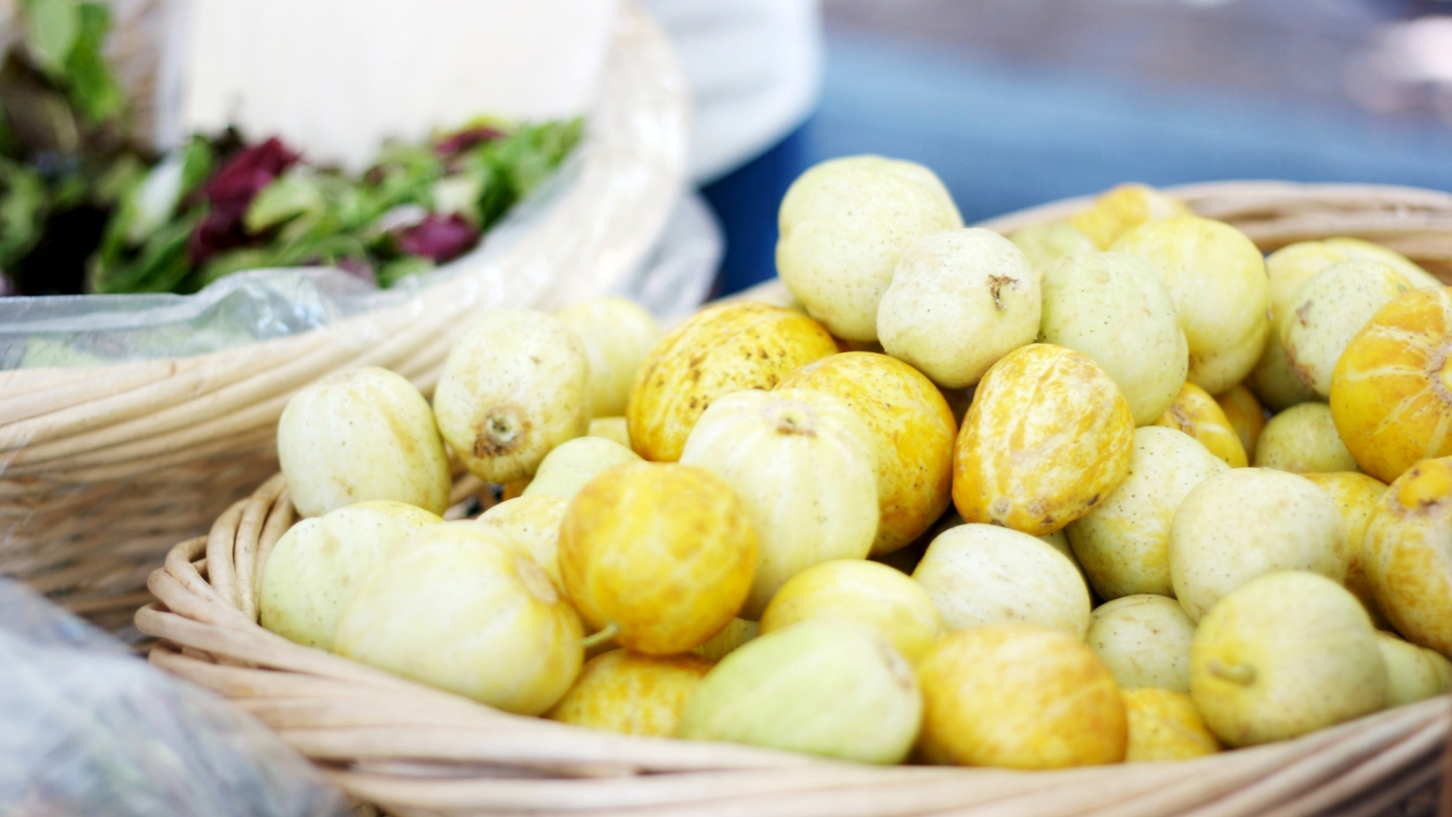 Concombre citron, une variété ancienne au potager - Idées Bio